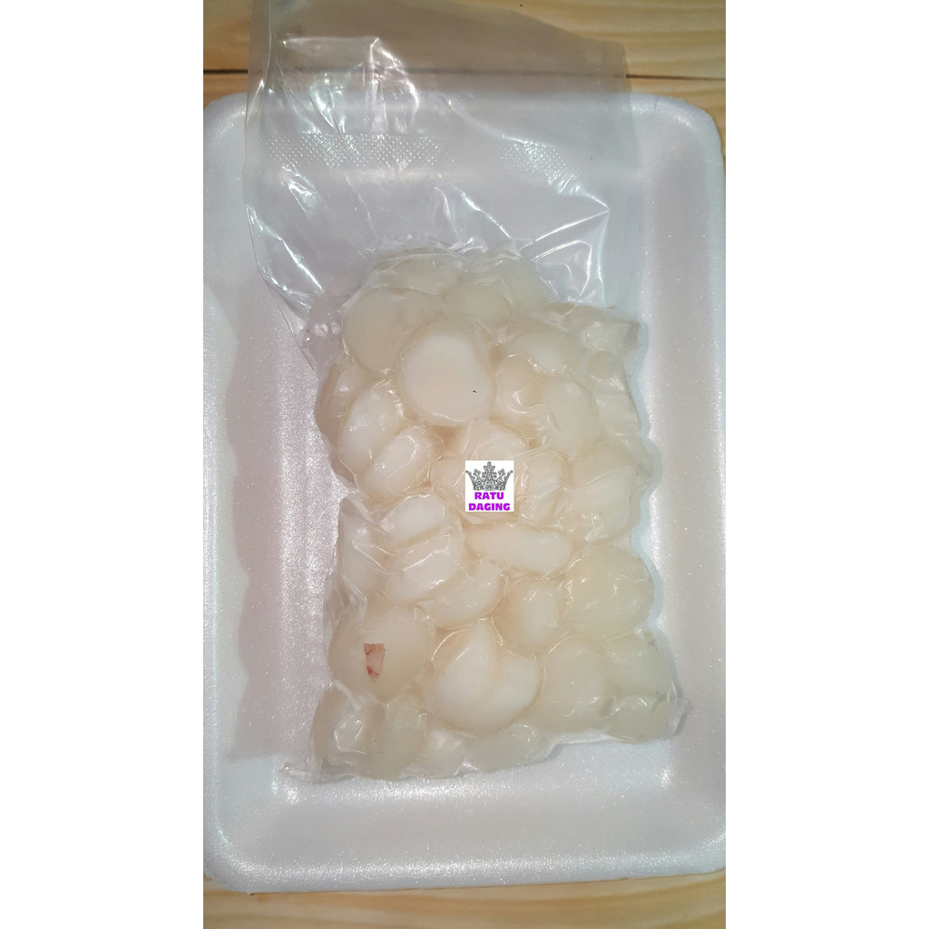 Jual Scallop / Kerang Kampak / Kerang Simping @250gr | Shopee Indonesia