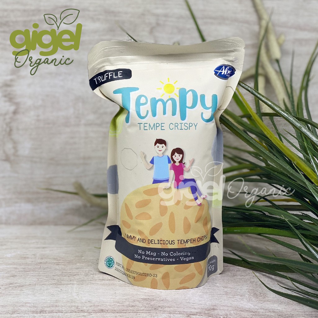 Jual Abe Food Tempy Truffle - Tempe Crispy, 70g, No MSG, Gigel Organic ...