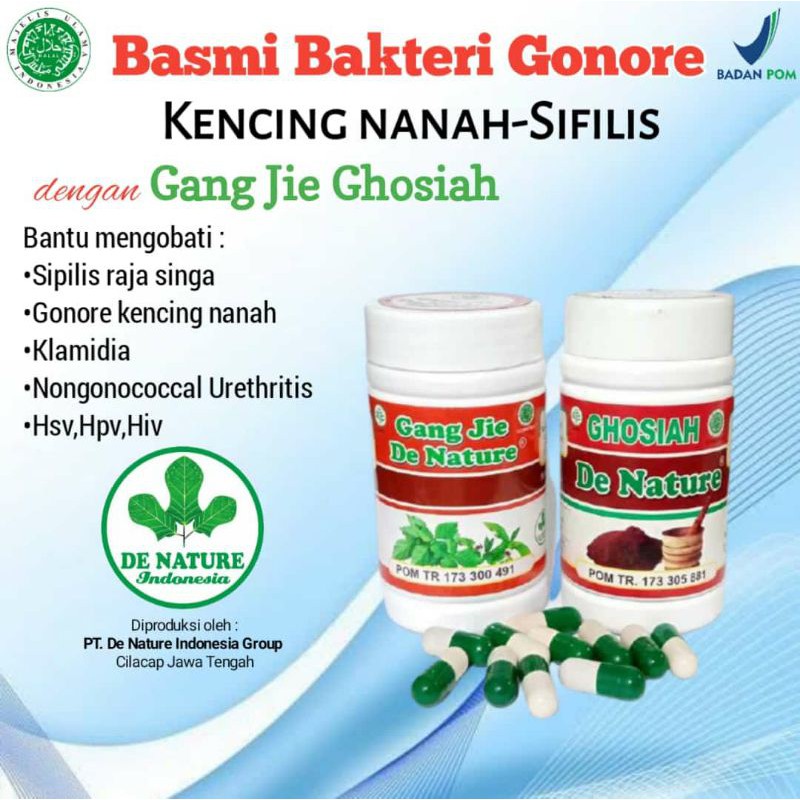 Jual Obat Kepatil Sipilis obat Gangjie dan Ghosiah Terlaris Di Apotik ...