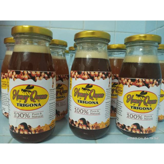 Jual MADU TRIGONA HONEY QUEEN DIJAMIN ASLI KARENA HASIL TERNAK SENDIRI ...