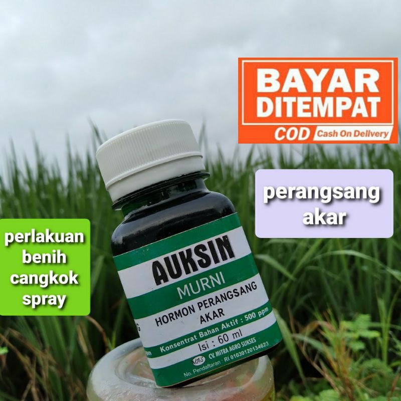 Jual Hormon auksin percepat pertumbuhan akar tanaman zpt akar auxsin ...