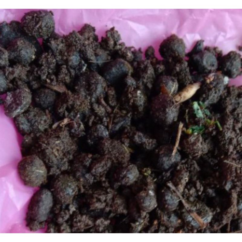 Jual promo kotoran kambing / media tanam ( tai kambing asli ) 5 kg ...