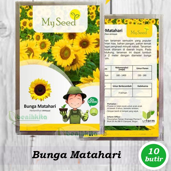 Jual Benih-Bibit Bunga Matahari - Sunflower (My Seed) | Shopee Indonesia