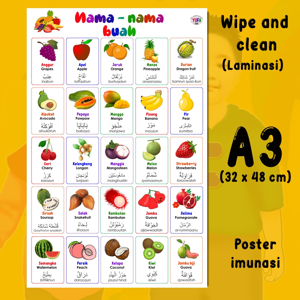 Jual 102 poster nama nama buah (3 bahasa) - Poster Edukasi Anak ...