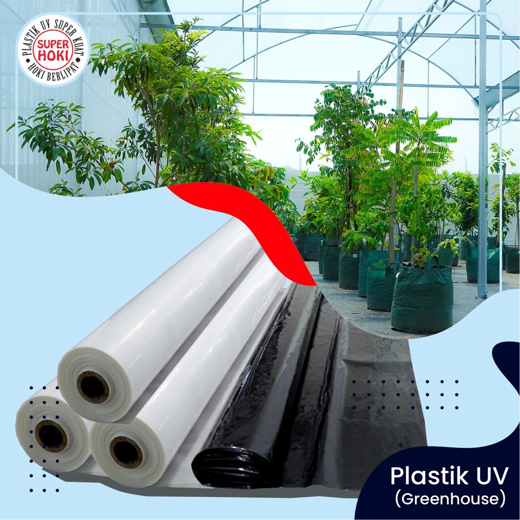 Jual Plastik UV Lebar 3 meter x 50 meter x 200 micron (Premium Roll) | Shopee Indonesia
