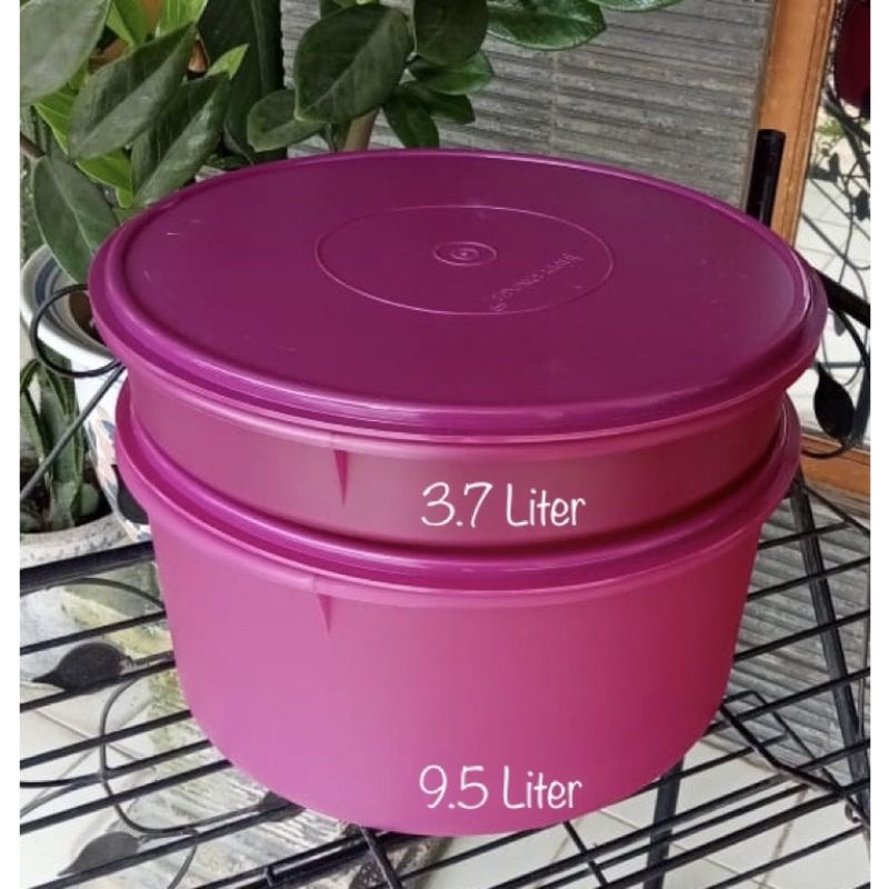 Jual bowl baskom tupperware | Shopee Indonesia