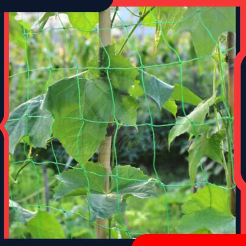 Jual Jaring Rambatan Tanaman Plant Climbing Net Anggur/Pare/Semangka ...