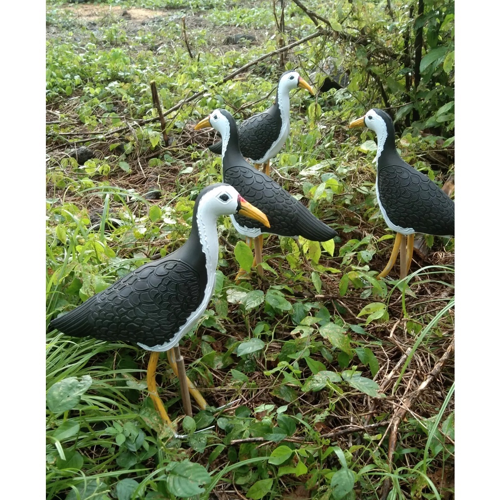 Jual JONTROT PEMIKAT BURUNG RUAK RUAK KAREO PATUNG RUAK RUAK / PEMIKAT ...