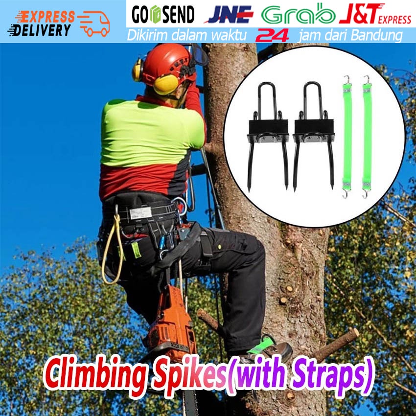 Jual Panjatkit Alat Panjat Pohon ( Pokok ) Kelapa / Pinus / Jabon ...