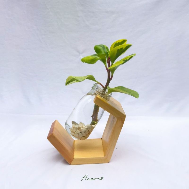 Jual Vas Pot Bunga Propagasi Tanaman hias asli Pajangan Dekorasi Meja ...