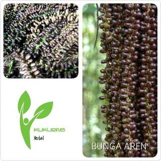 Jual bunga aren Harga Terbaik & Termurah November 2024 | Shopee Indonesia