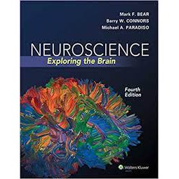 Jual Neuroscience: Exploring the Brain 4Th Edition | Shopee Indonesia