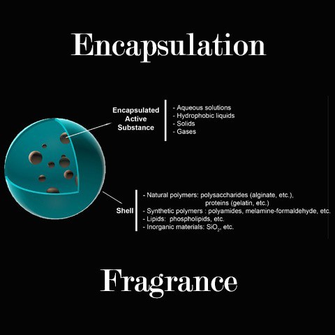 Jual Bibit Parfum ENCAPSULATION A Fragrance Oil | Shopee Indonesia