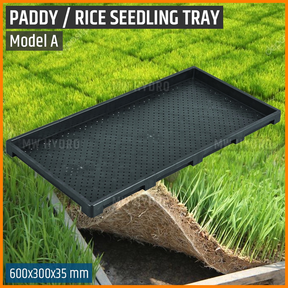 Jual Paddy / Rice Seedling Tray, Tray Semai Bibit Padi / Microgreen - A ...