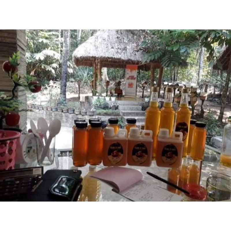 Jual Madu lebah muni(botol marjan) | Shopee Indonesia