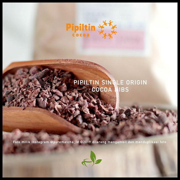 Jual Pipiltin Cocoa Nibs 1Kg Origin Pidie Jaya Aceh Biji Cokelat Cacao ...