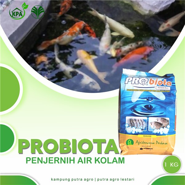 Jual Penghilang bau amonia kolam Tambak & Terpal - Bakteri Probiotik ...