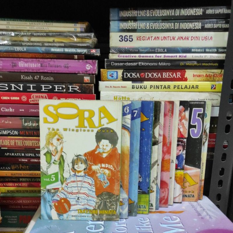 Jual KOMIK ORIGINAL SORA THE WINGLESS DUCK TAKESHI HINATA KOMIK BEKAS ...