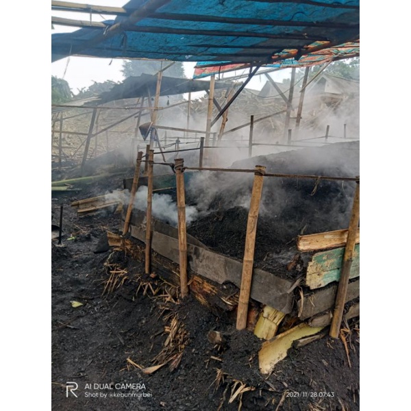 Jual Areng bakar kayu | Shopee Indonesia