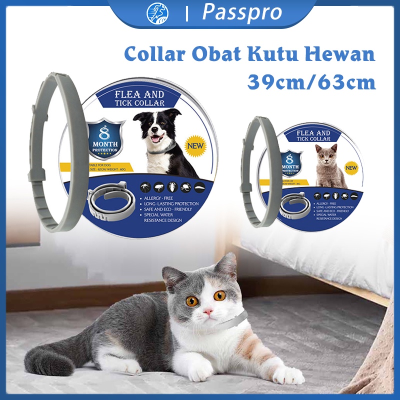 Jual Kalung Kutu Anjing 8 Months Kalung Anti Kutu Anjing & Kucing Bahan ...