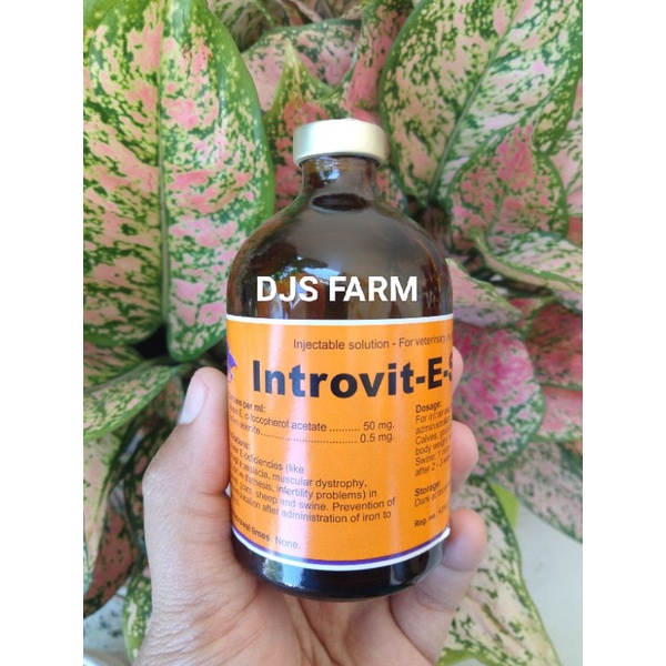 Jual Introvit E Selen 100 ml Introvit E Selenium Holland Vitamin E ...