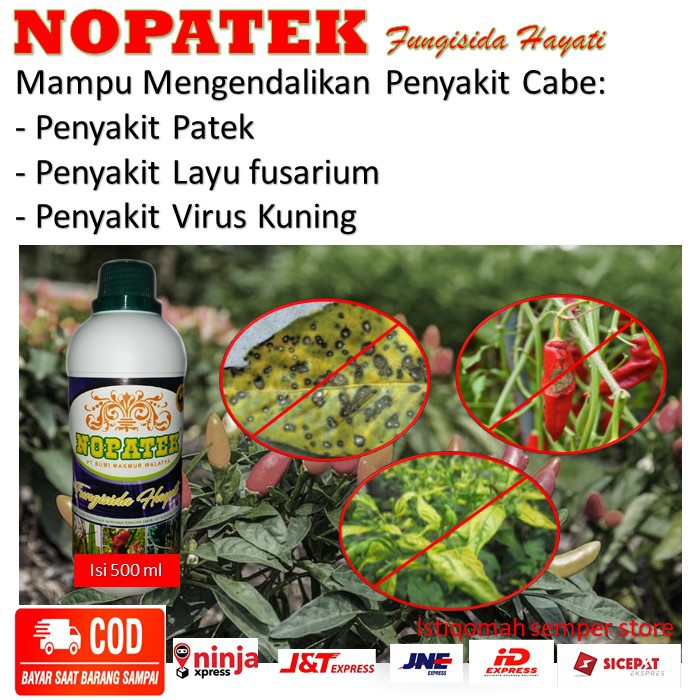 Jual Obat Cabe - Obat Penyakit Cabe - Nopatek Fungisida Hayati isi ...