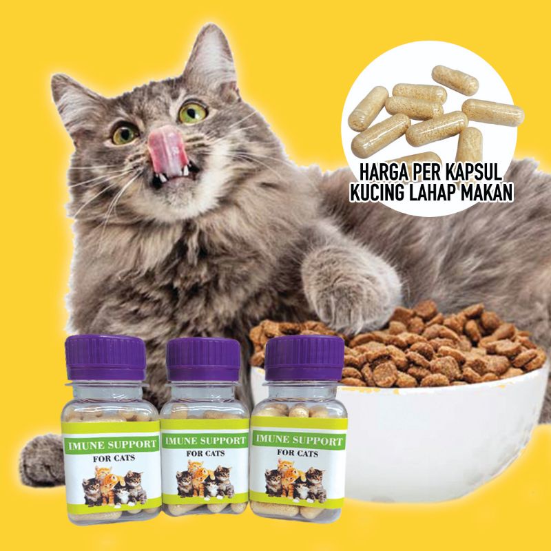 Jual 1 KAPSUL IMUNE SUPPORT - Obat Penggemuk Kucing Obat Penambah Nafsu ...