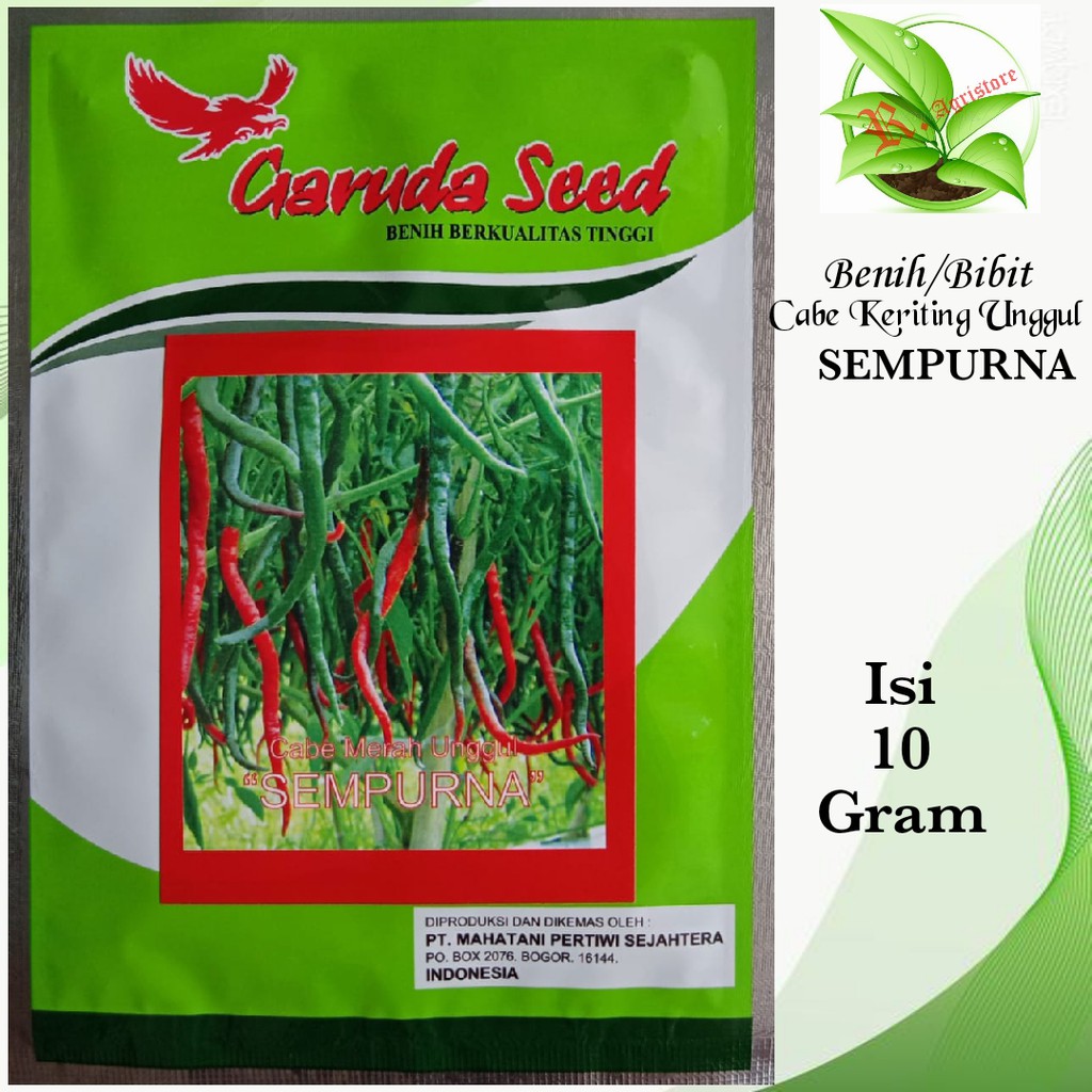 Jual Bibit Cabe Merah Keriting SEMPURNA Isi 10 Gram Benih Cabe Keriting ...