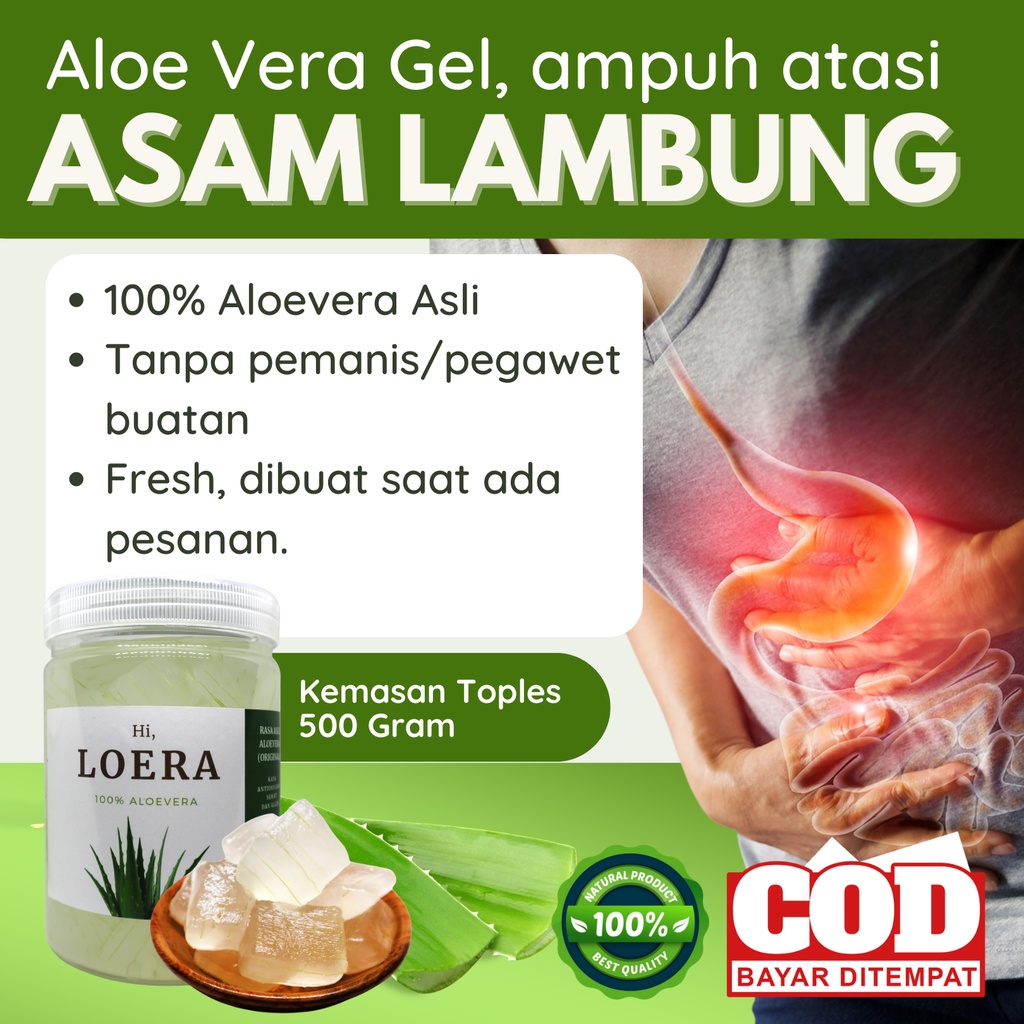 Jual Lidah Buaya Aloevera Aloe Vera Murni Obat Herbal Asam Lambung Maag ...