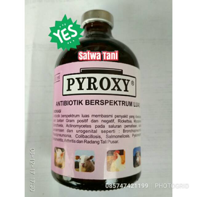 Jual PYROXY 100 ml (ANTIBIOTIK TERNAK MODERN DARI PYRIDAM) | Shopee ...