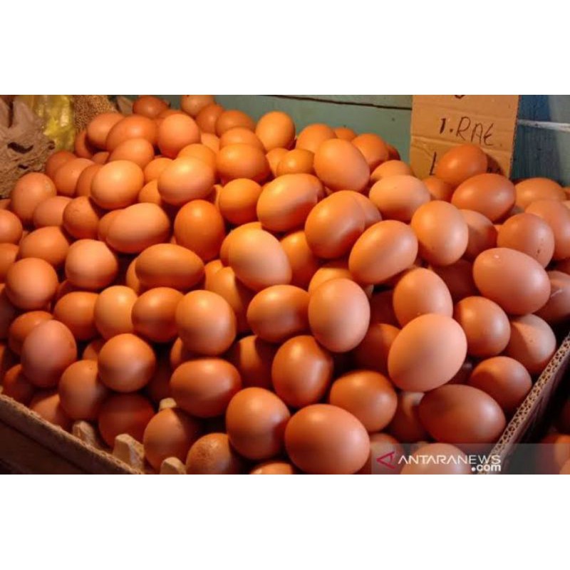 Jual Telur ayam curah 500gr | Shopee Indonesia