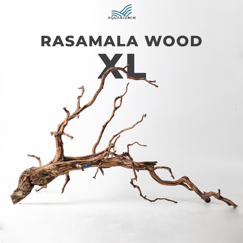 Jual Akar Kayu Rasamala Size XL Aquascape Aquarium | Shopee Indonesia