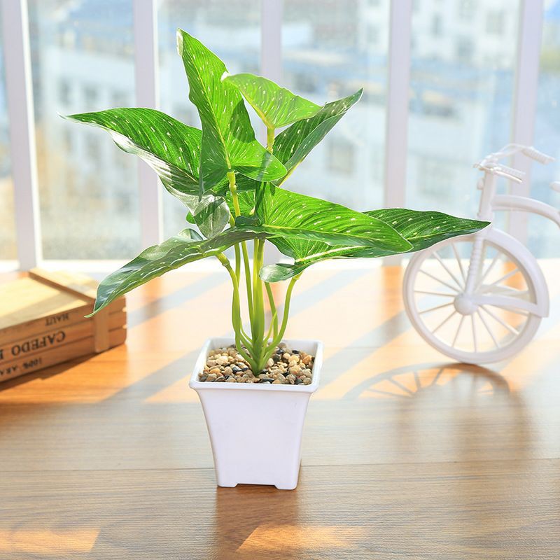 Jual Tanaman Plastik VB10B Keladi Beras Tumpah Artificial Daun Hias ...