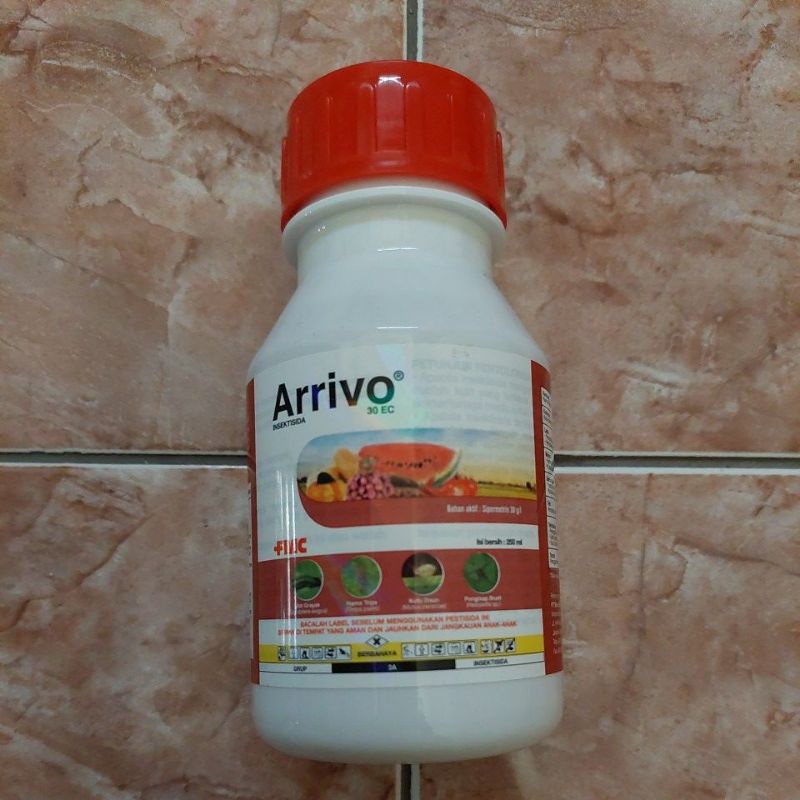 Jual Arrivo 30Ec 250ml | Shopee Indonesia