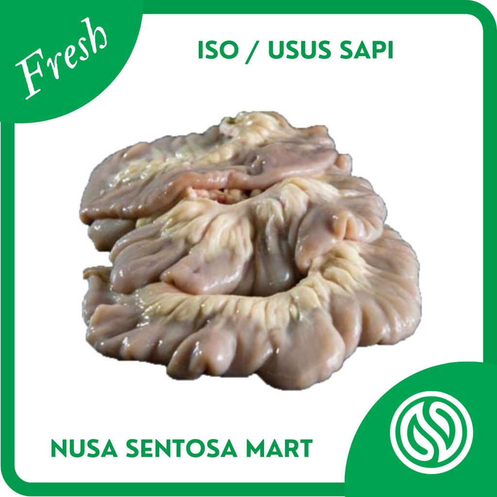 Jual Iso / Usus Sapi Segar - 500 gram | Shopee Indonesia