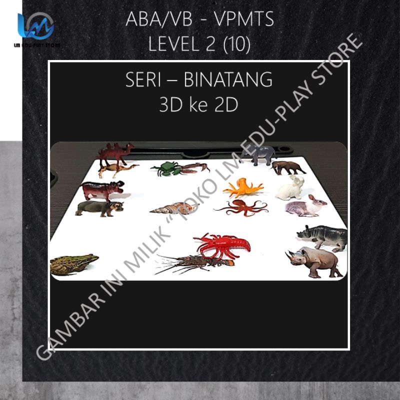 Jual Kartu Belajar VB-MAPP VP-MTS Level 2 (10) | Shopee Indonesia
