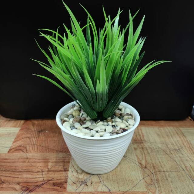 Jual rumput palsu/tanaman artificial/dekorasi bunga plastik | Shopee ...