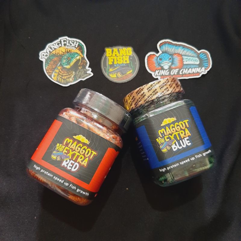 Jual PAKET BUNDLING MAGGOT RED SUPER & MAGGOT EXTRA BLUE ORIGINAL (BANG ...