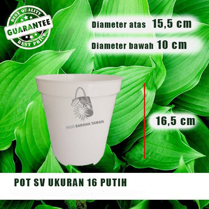 Jual POT TINGGI SV 16 PUTIH Pot Tanaman Pot Bunga Pot Plastik Grosir ...