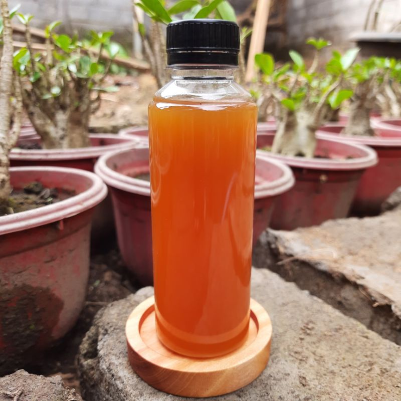 Jual Eco enzyme,probiotik eco enzyme,organik dibuat dengan buah segar ...