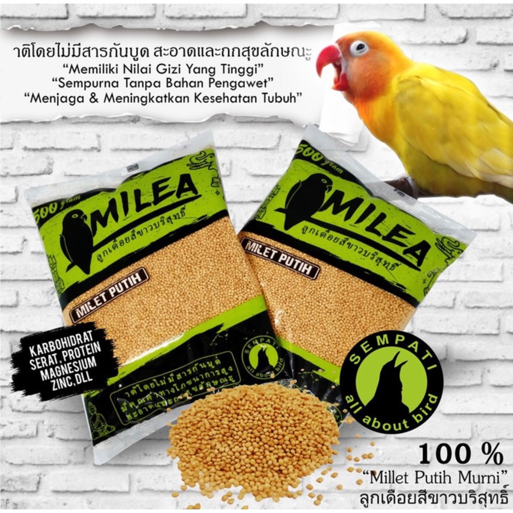 Jual MILET MILLET PUTIH MILEA PAKAN MAKANAN BURUNG LOVEBIRD PARKIT 500 ...