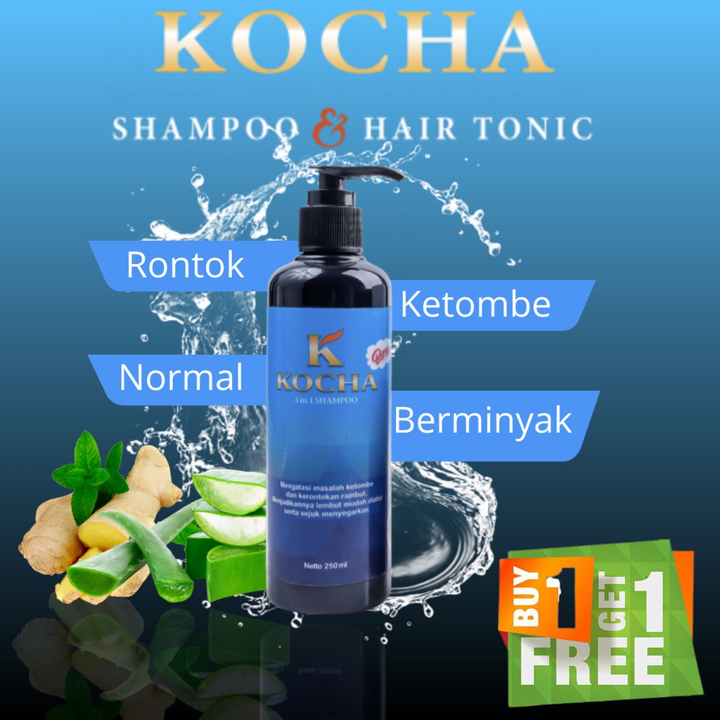 Jual Shampo Kocha Anti Dandruff Sampoo Sampo Obat Perawatan Rambut Rontok Dan Shampoo Penghilang ...