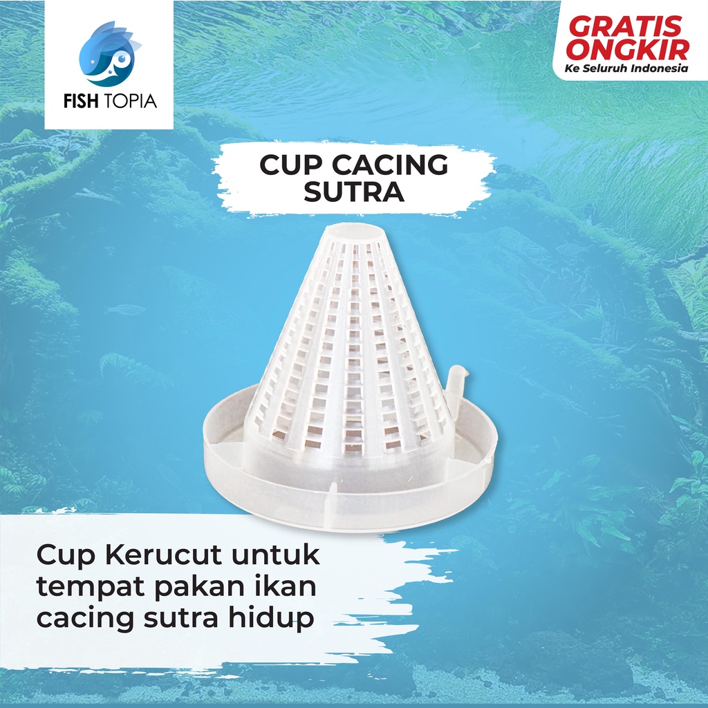 Jual Cup Tempat Cacing Sutra pakan Hidup Ikan Hias Cupang Guppy Molly ...