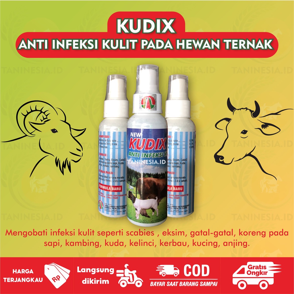 Jual KUDIX SPRAY OBAT INFEKSI KULIT SCABIES, KORENG, LUKA, GUDIK, EKSIM ...