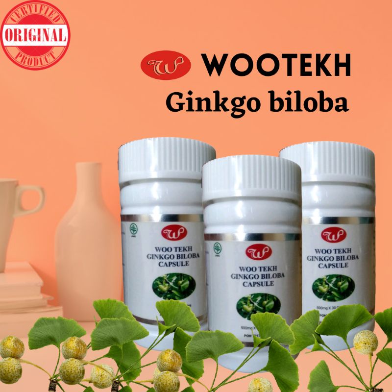 Jual Ginkgo biloba kapsul original wootekh | Shopee Indonesia