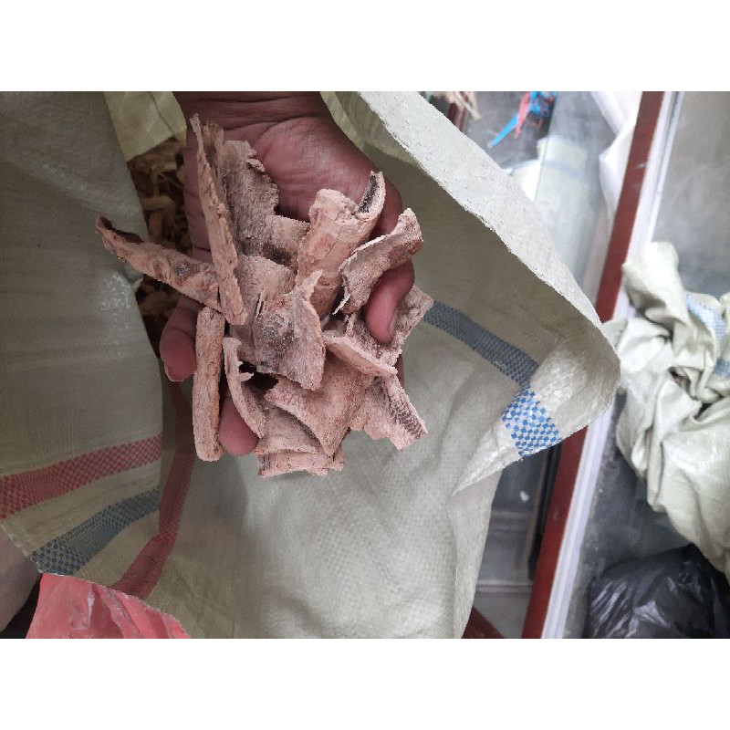 Jual (harga 1 kilo) kulit kayu pule pulai polay gabus lame kering ...