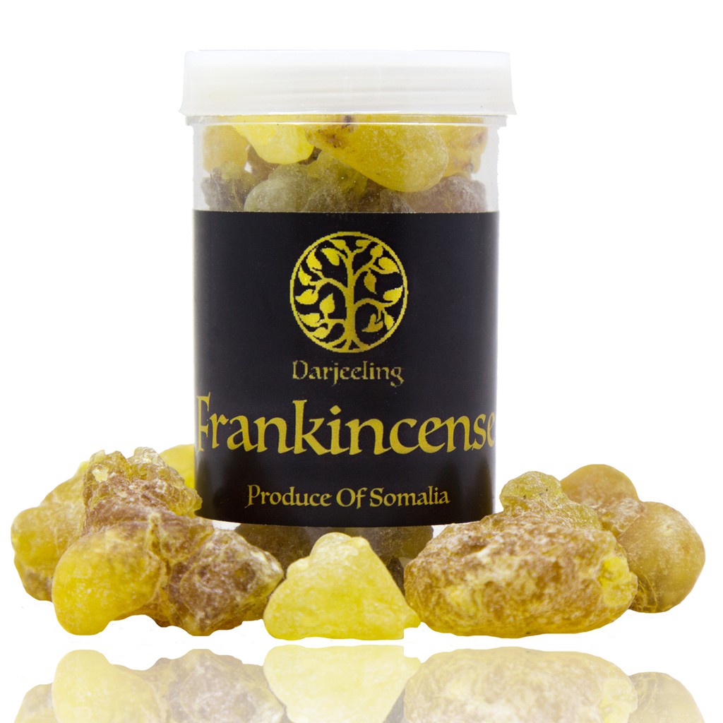 Jual Darjeeling Frankincense Boswellia Carterii Besar / Kemenyan Arab ...