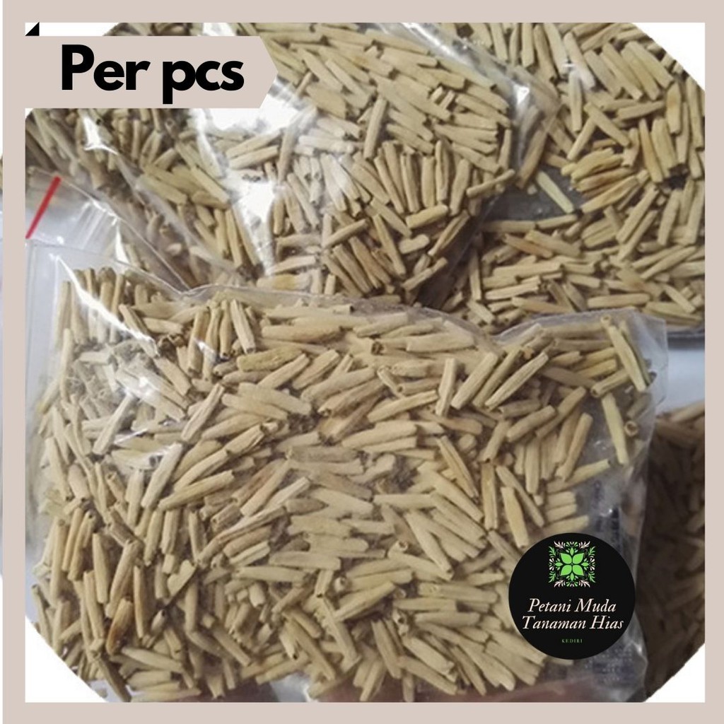 Jual Biji Bunga Adenium Kamboja Jepang Benih Adenium Seeds Adenium ...