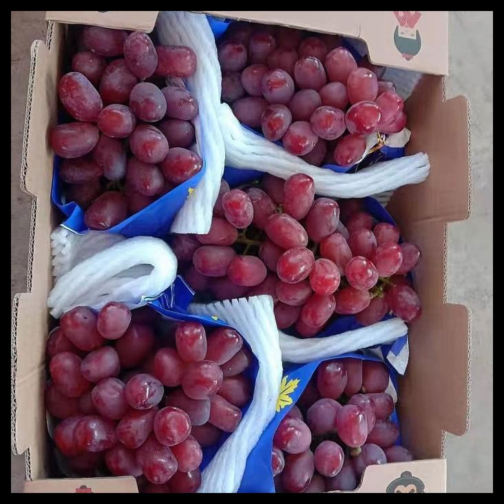 Jual Anggur Merah Manis Australia Amerika Crimson Tanpa Biji Ada Biji ...