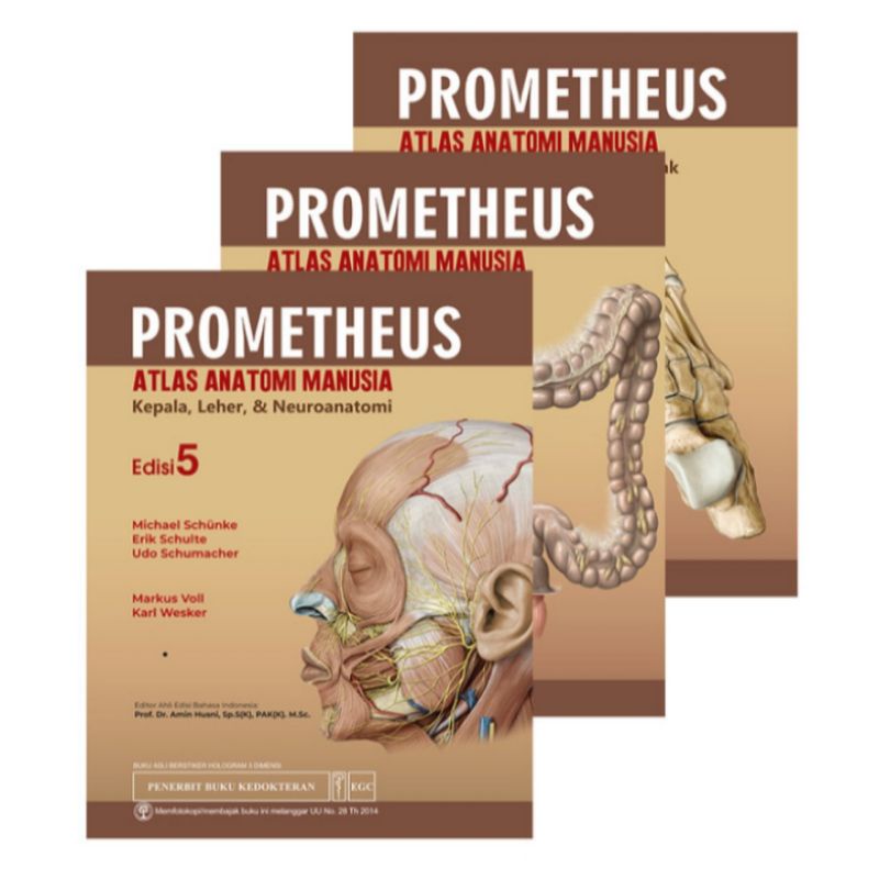 Jual Prometheus Atlas Anatomi Manusia Edisi 5 (Set 3 Buku) | Shopee ...